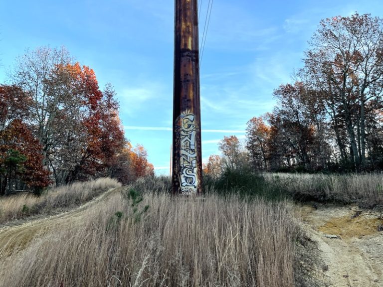 Jamesburg Park Conservation Area, Disjunct Pine Barrens – Dan's Road ...